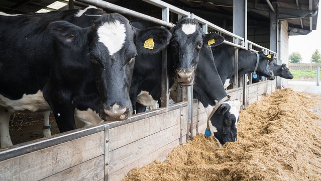Feed Inspection Advisory Board | Dairy Business News