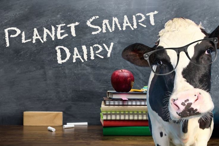 CA: A lesson in planet-smart dairy | Dairy Business News