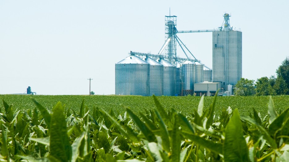 Corn and Soybean Yields are YUUUGE | Dairy Business News