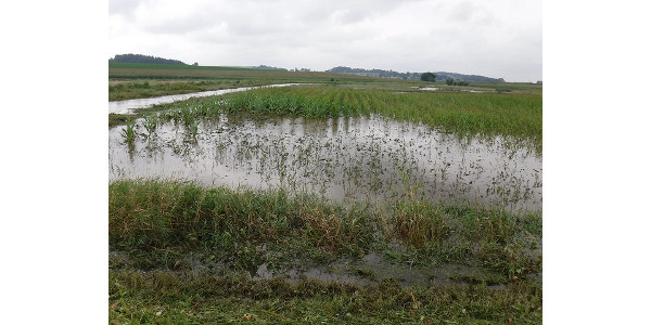 Crops under water? Think about CREP | Dairy Business News