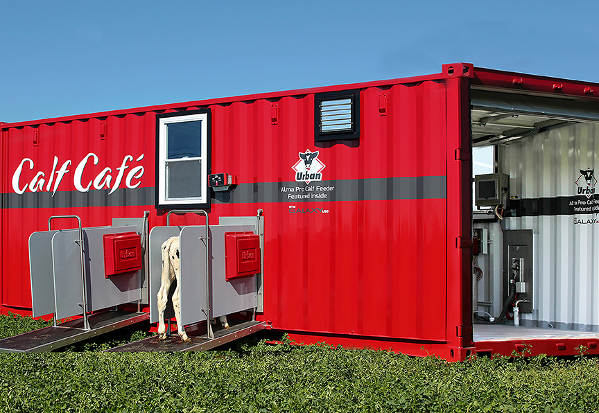 AMSG puts it all together in new Calf Café | Dairy Business News