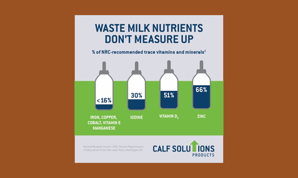 Waste Milk Nutrient Values Change Daily, Calf Nutrient Needs Don’t ...