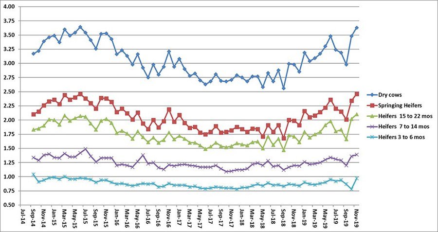 Dairy Sense: Small Grain Silage for the Lactating Herd | Dairy Business ...