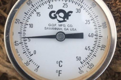 Chilling Injury in Newly Planted Corn and Soybeans | Dairy Business News